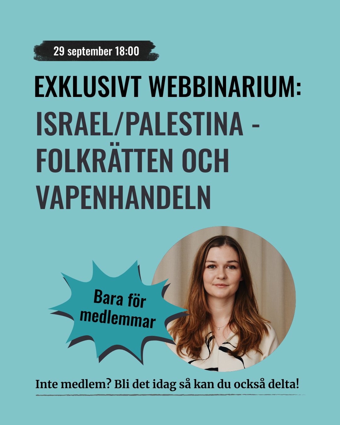 MEDLEMSEXKLUSIVT MÖTE OM PALESTINA/ISRAEL - FOLKRÄTTEN OCH VAPENHANDELN ...